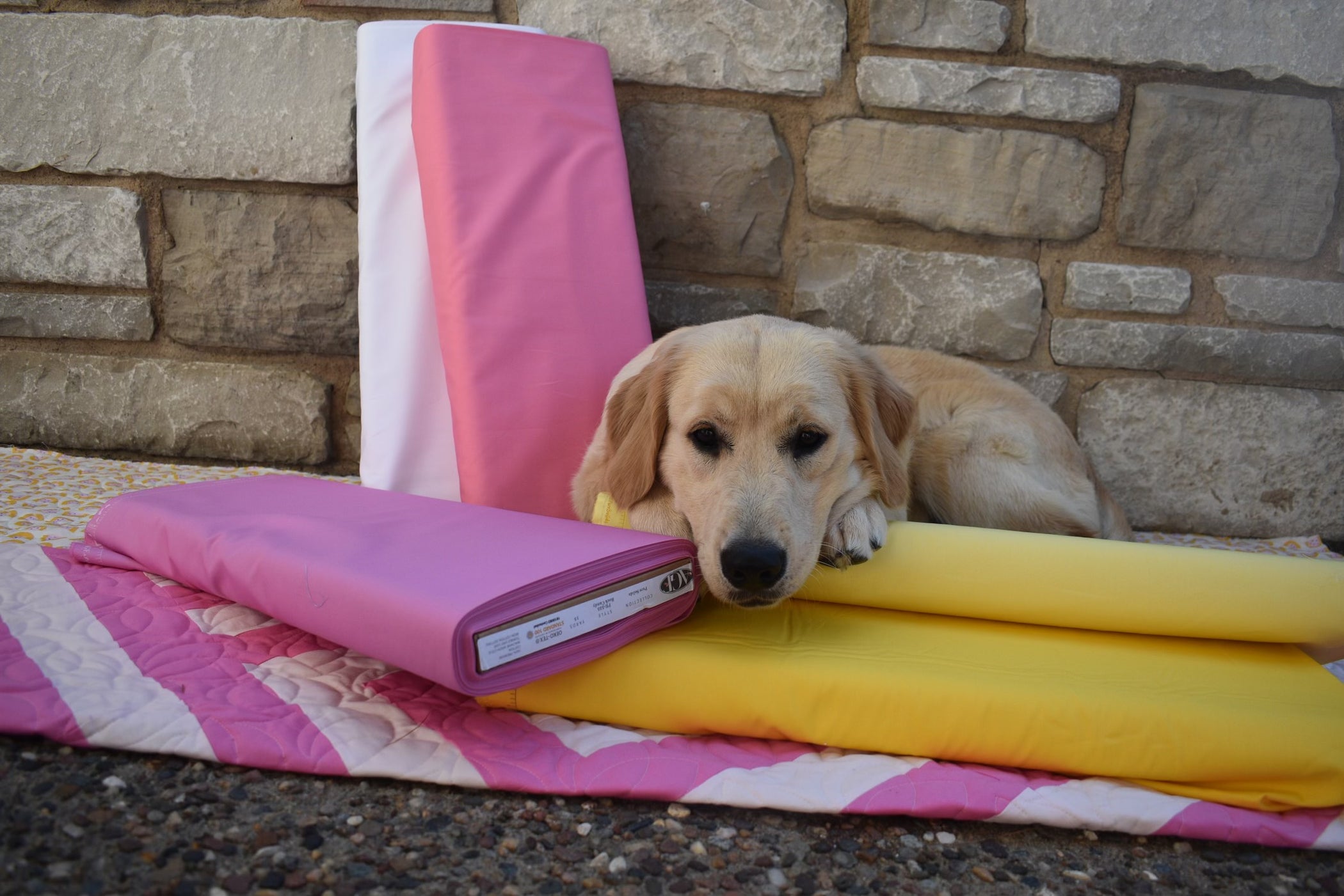 Golden Girls Fabric Co. – Golden Girls Fabric Company