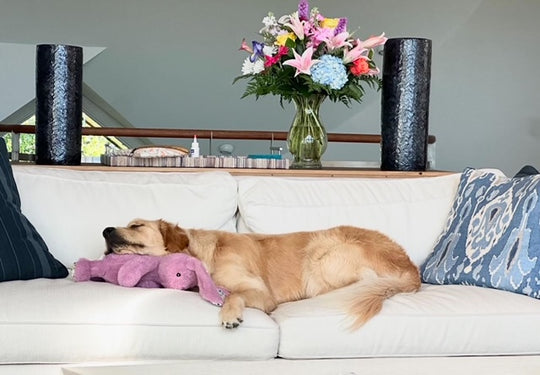 Hester Quilt Pattern (Paper) by Penelope Handmade – Golden Girls Fabric ...